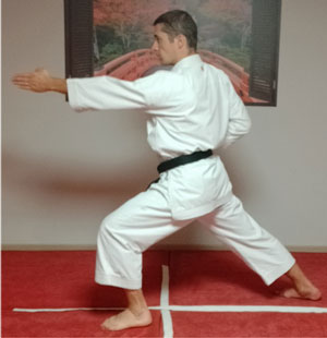 ATTAQUES DIRECTES DE POING : TSUKI WAZA - Karaté Chambray